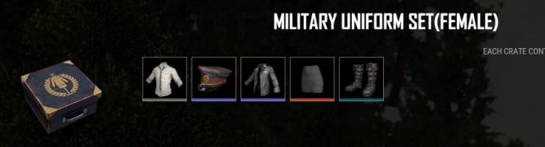 【PUBG】FEVER CRATEとは？ - Raison Detre - ゲームやスマホの情報サイト