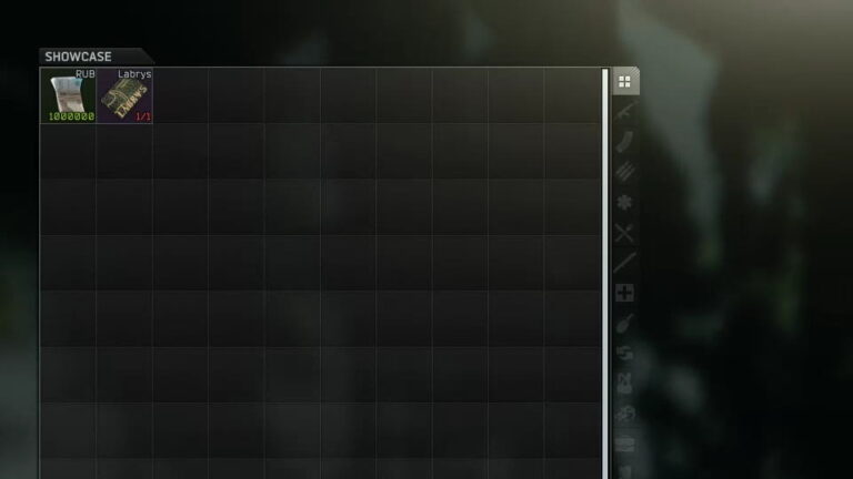 【EFT】プロモコードの入力方法【アクティベート】 - Raison Detre - ゲームやスマホの情報サイト